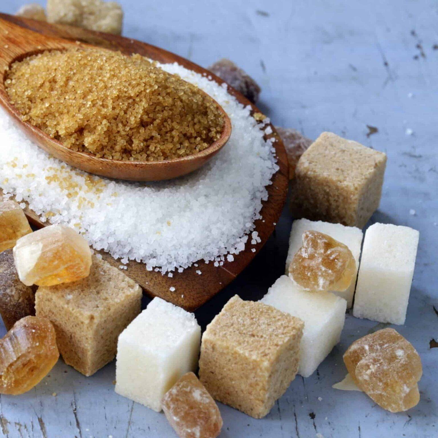 Quelle Différence entre Glucides et Sucres ? | Hygie Académie
